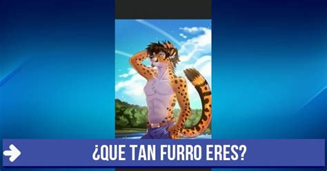 100 Furro ¿que Tan Furro Eres
