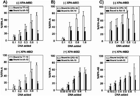 A Binding Of Rpa A To The Tt Aa 10 Duplex As A Function Of Dna Download Scientific Diagram