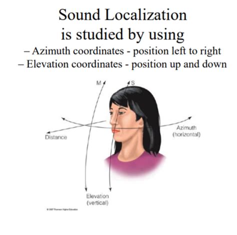 Ps 222 Sound Localization Flashcards Quizlet Ps 222 Sound Localization Flashcards Quizlet