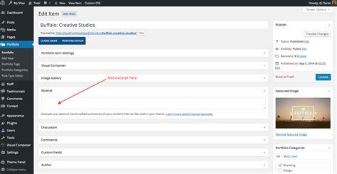 adding custom excerpts total docs