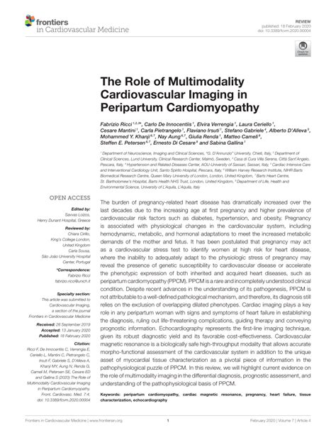 Pdf The Role Of Multimodality Cardiovascular Imaging In Peripartum