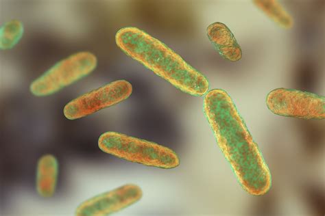 The Link Between Your Mouth Strep And Coronary Artery Disease Health