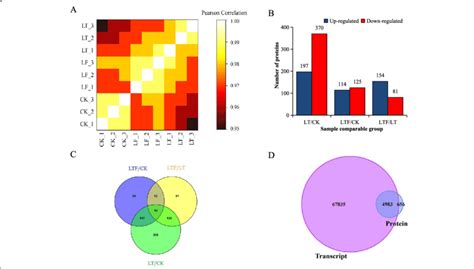 A Pearson Correlation Coefficient Thermograph Of Protein Download Scientific Diagram