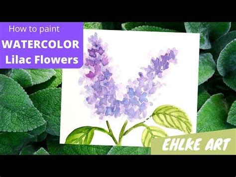 How To Paint WATERCOLOR LILAC FLOWERS Beginning Watercolor YouTube
