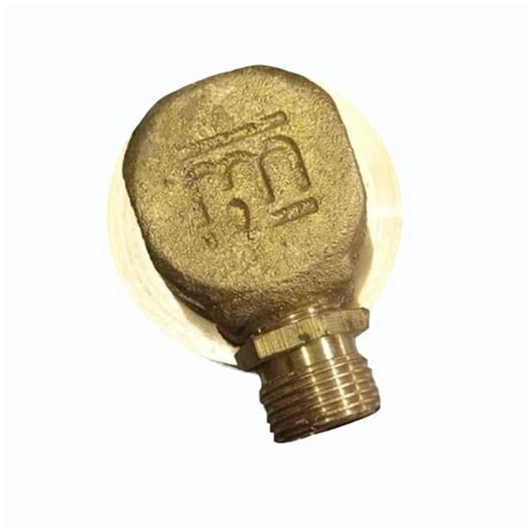 Female Brass Gas Assembly Coupling At ₹ 150 Piece In Gurugram Id 2852664523673