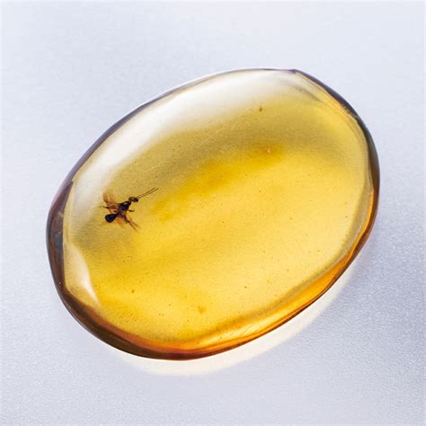 ミャンマー産『虫入り琥珀』 国内外の優れた伝統工芸品・美術工芸品の販売・通販サイト【東京書芸館公式サイト】