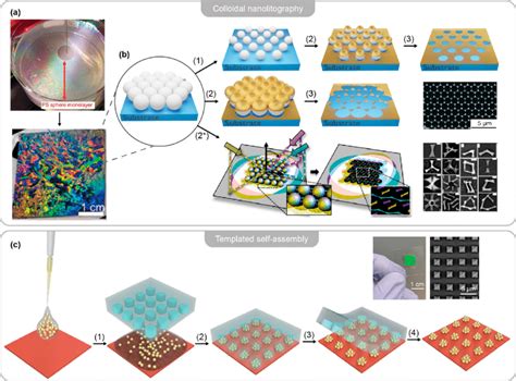 Nanopatterning Approaches Based On Self Assembly A Top Photography Download Scientific