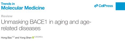 Trends 系列：中科大申勇团队综述beta 分泌酶在衰老中的重要作用