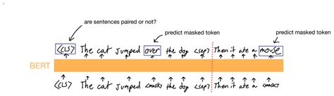 Paper Walkthrough Bidirectional Encoder Representations From
