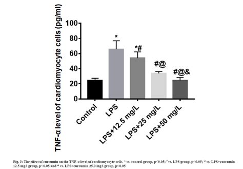 Protective Effect Of Curcumin On Lipopolysaccharide Induced Rat