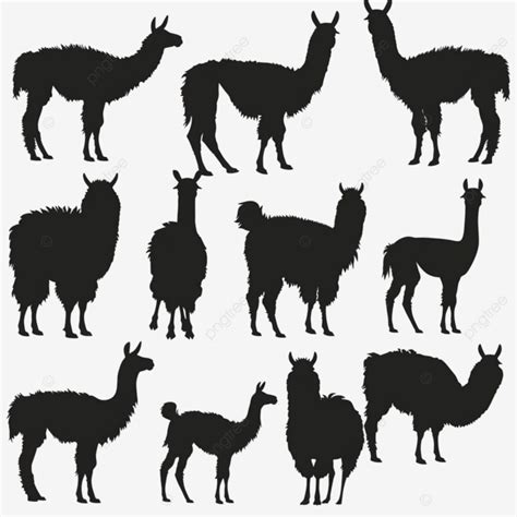 مجموعة الصور الظلية لاما لاما صورة ظلية لاما الألبكة Png صورة للتحميل مجانا