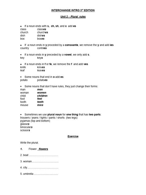 Unit2 Plural Rules With Exercise Pdf