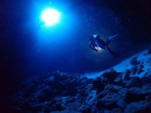 水中風景 宮古島でダイビングを楽しむなら「アクアスター」