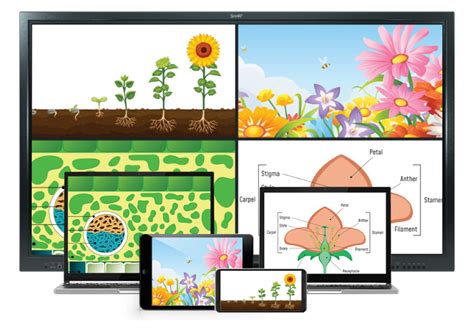 Màn Hình Tương Tác 86 Inch Smart Sbid Gx086 Sao Mai Education Group