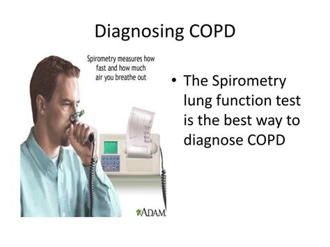 Ppt The Respiratory System Powerpoint Presentation Free Download