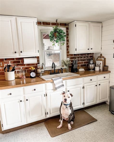 15 Trendy Behr Swiss Coffee Ideas In Real Homes