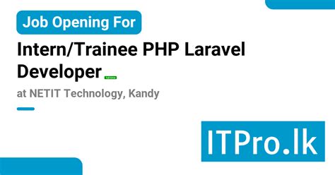 intern trainee php laravel developer at netit technology kandy sri