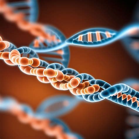Congenital Dislocation Of Hip Unila Q650 Dx