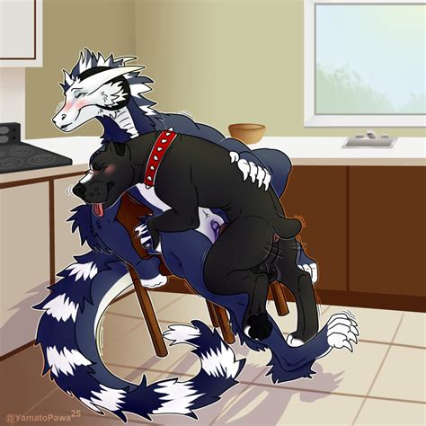 Rule 34 11 Absurd Res Anthro Anthro On Feral Anus Balls Blush Canid