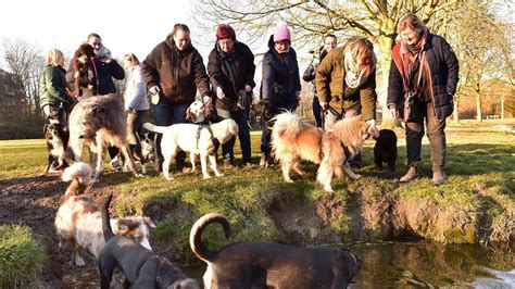 Weder Zaun Noch Totholz An Hundeauslauffläche Am Burghügel Mark