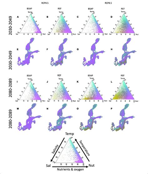 The Contribution Of Salinity Sal Including Surface And Bottom