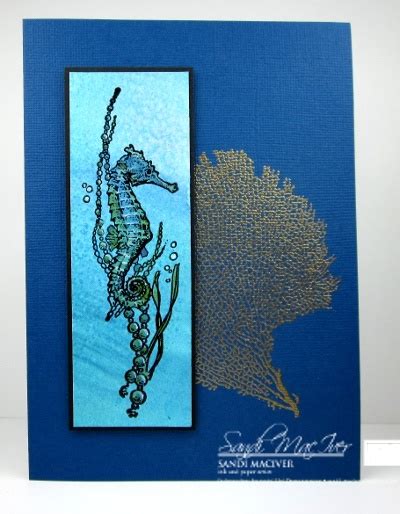 And The Winners Are And A Peek At What We Did Yesterday Sandi Maciver Stampin Up