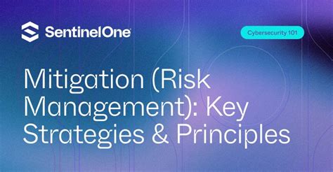 Mitigation Risk Management Key Strategies And Principles