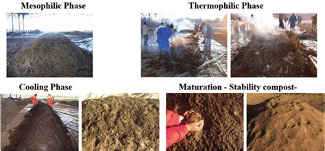 5 Pictures Illustrating The Different Stages During Composting