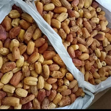 Jual Kurma Muda Kering 1kgkurma Muda Untuk Promilkurma Muda Murah Di Seller Supermart Market