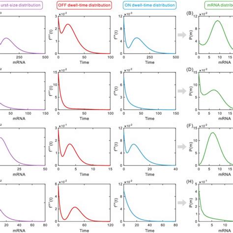 Influence Of Transcriptional Bursting Kinetics On Gene Expression Download Scientific Diagram
