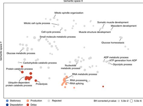 Protein Classes Are Enriched For Specific Biological Functions