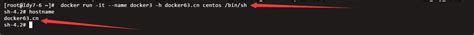 Centos 76 Docker 容器命名和资源配额控制docker 容器名称 Csdn博客