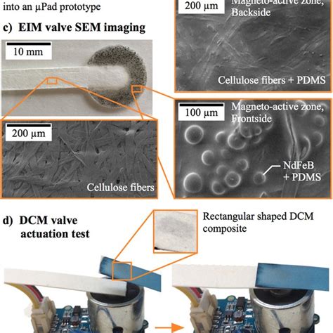 Applications Of Microfluidic Technologies In Aquatic Ecotoxicology