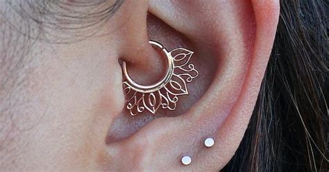 Healed Daith And High Lobes By Gregg At Outer Limits Costa Mesa Ca All Rose Gold Imgur