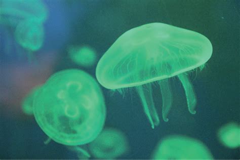 Feyond Series Multi Mode Microplate Reader Ultrassay® Molecular And Cell Biology