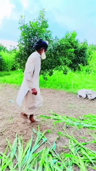 باباجی کو آج مجرم کیسے پھس گیا 😁 Youtube