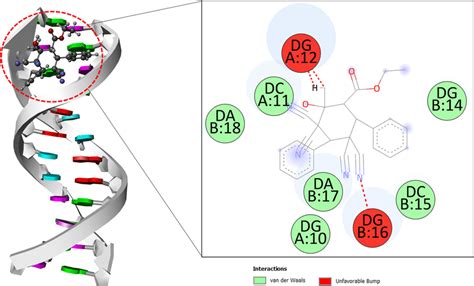 Docked Conformation Of The Compound Shown In Ball And Stick With Dna