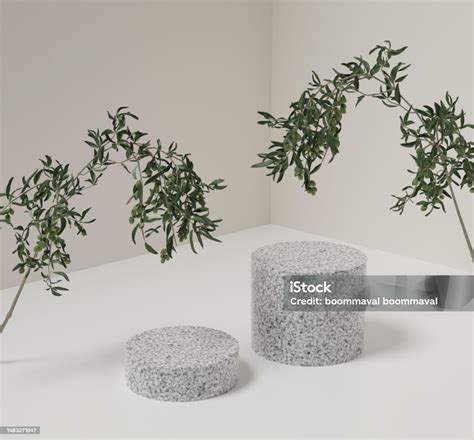 하얀 화강암 바위 연단 또는 돌 무대와 나뭇잎 프리젠테이션 화장품을 위한 나뭇가지 모형 스탠드 제품 장면 배경입니다 3d 연단 무대 그림 0명에 대한 스톡 사진 및 기타