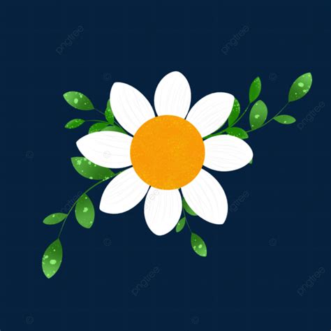 Flor Blanca Png Flor Ilustraciones De Dibujos Animados Ilustración