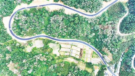 环热带雨林国家公园旅游公路通车 新华网