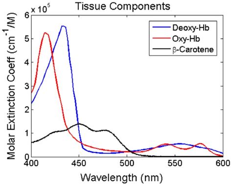 Molar Extinction Coefficient Of Oxy And Deoxy Hemoglobin And Download Scientific Diagram
