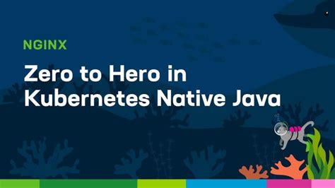Donald Lutz På Linkedin Zero To Hero In Kubernetes Native Java
