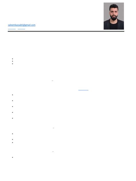 Saleem Kassab Software Developer Cv Pdf Telecommunications