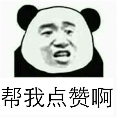 程序员如何成为一名独立开发者 个人开发者 csdn博客