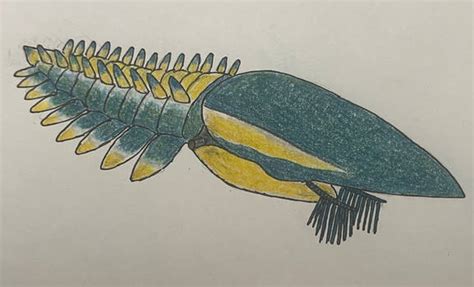 Explore The Best Aegirocassis Art Deviantart