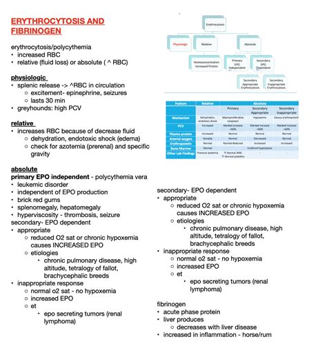 Veterinary Clinical Pathology Notes Etsy