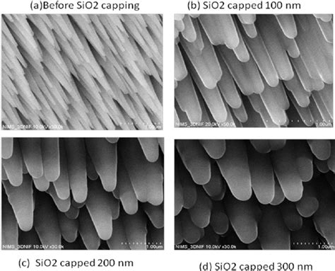 A Shows The Inp Nano Pillar Structures After 1 Kev Ar Ion Irradiation
