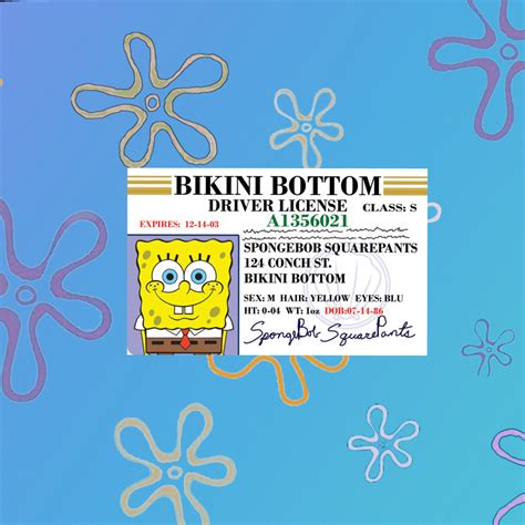 Drivers License Spongebob