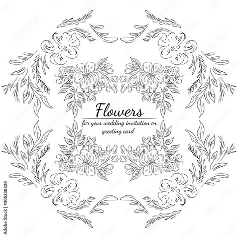 Tropical Hand Drawn Floral Frames Outline Set Jungle Foliage Illustration Floral Set Hand