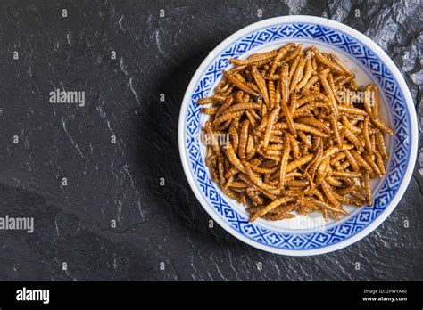 Flour Worm With Chili Fried Salty Worms Baked Worms Healthy Diet